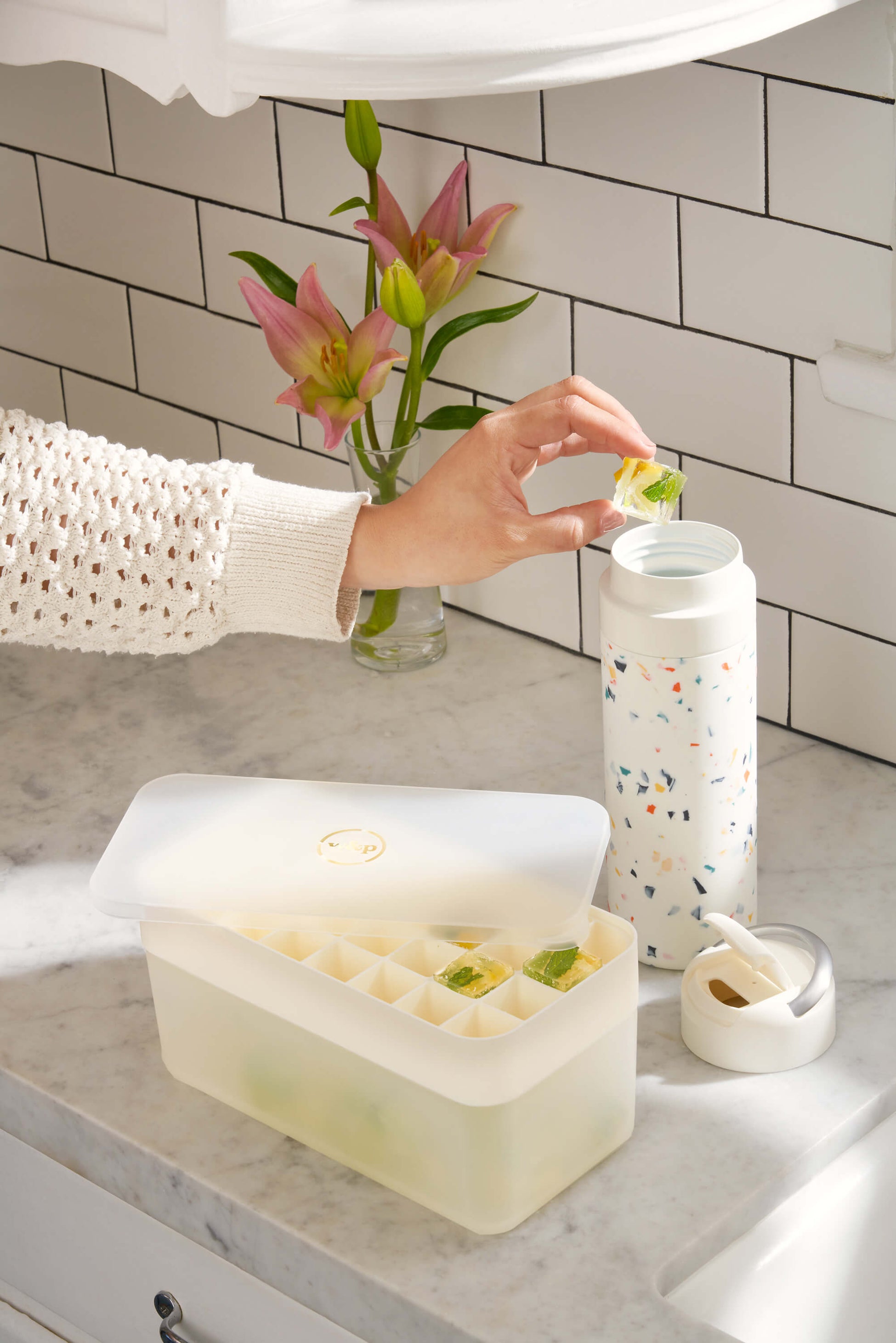 Silicone Ice Cube Tray & Storage Box | W&P