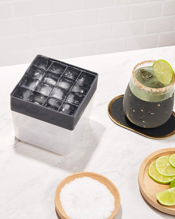 Silicone Ice Cube Tray & Storage Box | W&P